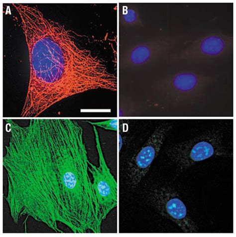Materials Free Full Text Quantum Dots As Multifunctional Materials