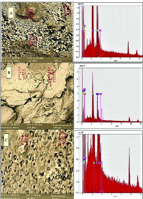 Sem With The Localized Elemental Analysis Inset And Eds Spectra Of Download Scientific