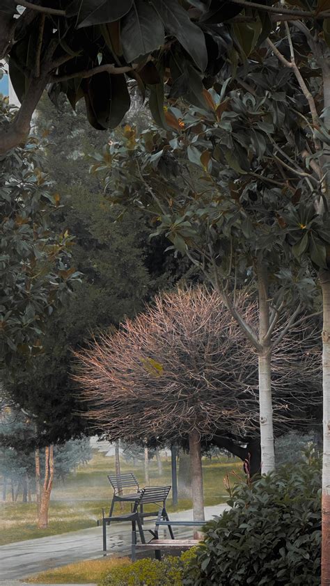 Ketis Books ტარიელ ჭანტურია Instagram