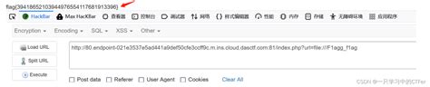 2023年磐石行动第十三周 磐石行动 ctf csdn博客