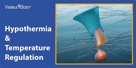 Hypothermia The Danger Of Walking In A Winter Wonderland