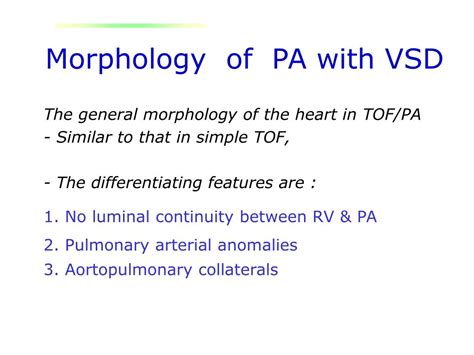 Ppt Surgical Treatment Of Pa With Vsd Withoutwith Mapca Powerpoint