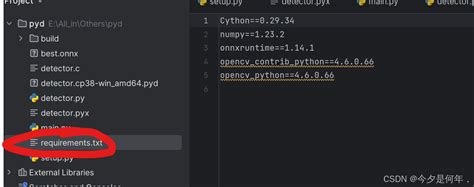 手把手教你python导出环境requirementstxtpython导出requirement Csdn博客