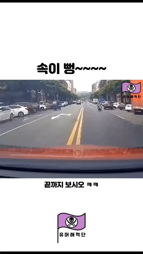 삼냥냥집사 진짜 어렵네 ㅋㅋㅋㅋ 유머 차 차스타그램 맞팔 일상 웃음 웃긴짤 커플 감동 귀여워 웃긴영상 재미 유머스타그램 재밌는영상 좋반