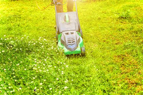 뒤뜰에서 잔디 깎는 기계와 녹색 잔디를 절단 하는 남자 원예 국가 라이프 스타일 배경 봄이나 여름철에 햇빛 정원 풍경에 신선한 녹색 잔디 잔디에 아름 다운 보기 가위에 대한