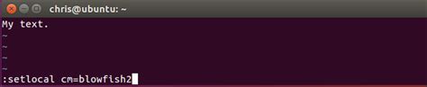 how to password protect text files using vim on linux or macos