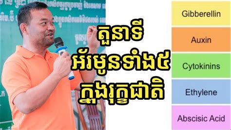 តួនាទីអ័រមូនទាំង 5 ក្នុងរុក្ខជាតិ លោកគ្រូ ប៊ុន នាង ពេទ្យទូច Success Knowledge Youtube