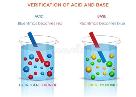 Verification Of Acids And Bases Using Litmus Paper Acid Base And Beaker Experiment Stock