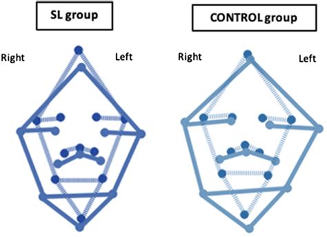 Face Maps Representation Of Real Continuous Lines And Perceived Face Download Scientific