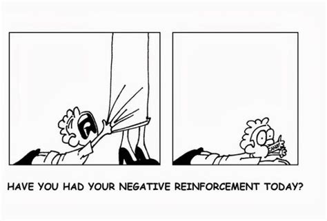 45 Best Aba Memes Images On Pinterest Aba Autism Behavior Analyst And Psychology Jokes