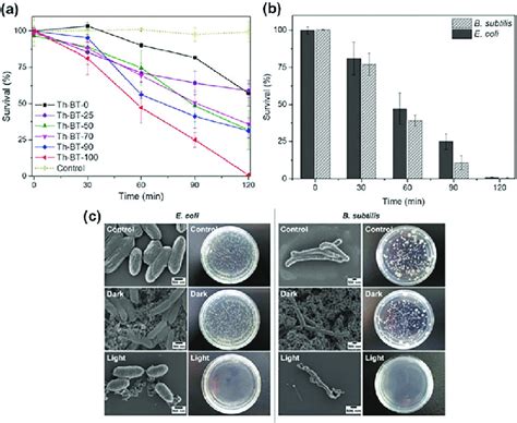 A Representative Photocatalytic Inactivation Of E Coli K 12 Treated Download Scientific