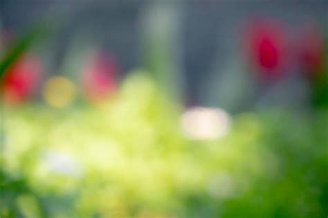 Premium Photo Bokeh Overlay Background