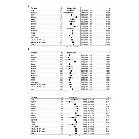 Overview Of The Univariate Cox Regression Analysis For All Tcga Skcm