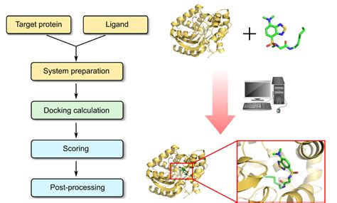 Proteinligand Docking Profacgen