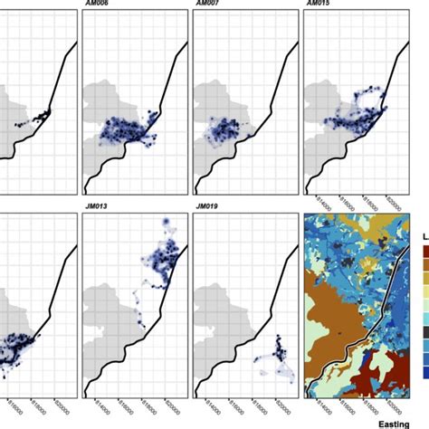 The Coefficients From The Integrated Step Selection Functions Per