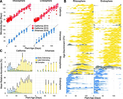random forest model detects taxa that are accurately predictive of