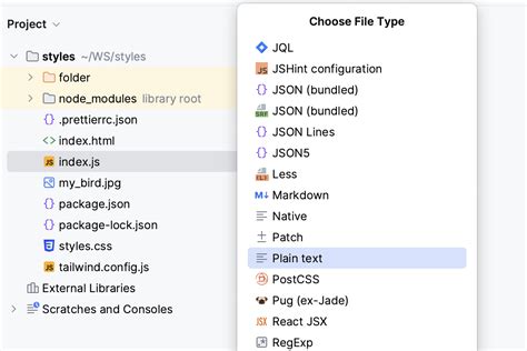 Configuring Project Structure WebStorm Documentation