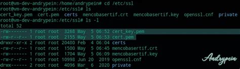 Membuat Sertifikat SSL Nginx Sendiri Self Signed 422 Tulisan Aing