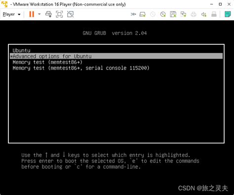 【ubuntu无法进入系统问题原因及解决方法】ubuntu启动不了 Csdn博客