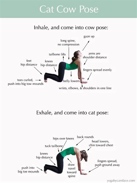 Cat Yoga Poses