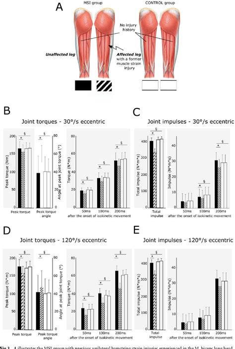 Figure 1 From Neuromuscular Characteristics Of Agonists And Antagonists