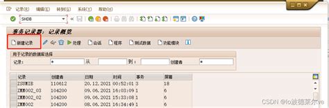 Sap Bdc 录屏及 Abap 调用 Bdcbdc录屏 Csdn博客