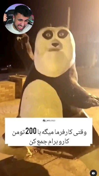 شهرداری این شهر واقعا خیلی خوبه🤣 پاندای کونگ‌فوکار خنده پاندا Youtube
