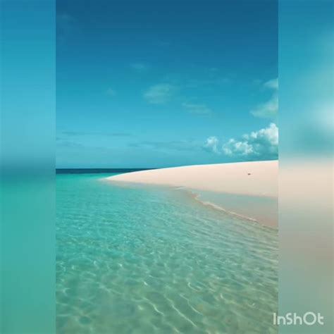 [video] Shekhar Personalized Salesforce Career Building Salesforce Career Mentor On Linkedin