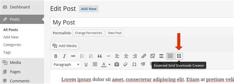 Post Options Overview Essential Grid Wordpress Gallery Plugin