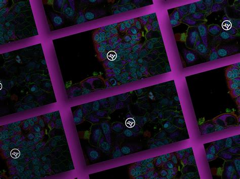 Systemic Bio™ On Behance