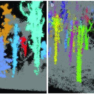 Examples Of Point Clouds Shown In The LiDAR 360 Software Following Download Scientific Diagram