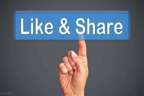 超级干货前端入门先学什么前端自学路线分享 网站源码 资源分享 资源教程