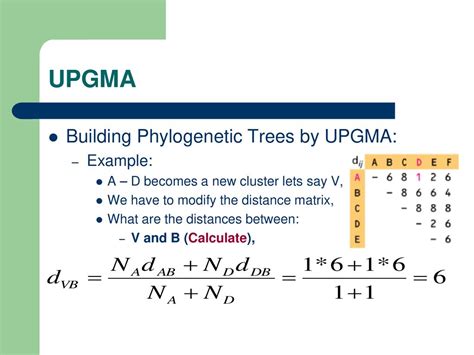 phylogenetic trees ppt download