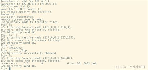 【linux】centos7中vsftpd的部署实施及练习 centos 练习 csdn博客