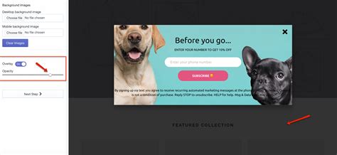 How To Improve Your SMS Popup Design With New Custom Templates SMSBump Blog