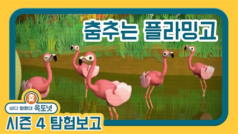 탐험보고송 춤추는 플라밍고 편｜바다 탐험대 옥토넛 시즌 4 네이버 Tv