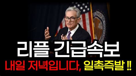 긴급속보 리플 바로 내일 저녁 발표 일촉즉발 대규모 변동성 임박했습니다 리플전망 리플코인 Youtube