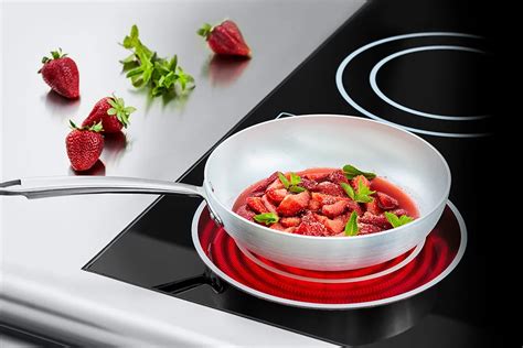 Infrared Hobs Roc 700 Modular