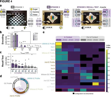 Remote Episodic Recollection Is Sensitive To Interference But Certain Download Scientific