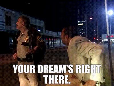 Yarn Your Dreams Right There Reno 911 2003 S03e07 And