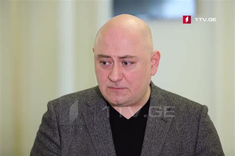 დიმიტრი ცქიტიშვილი ევროპარლამენტის რეზოლუცია ძალიან ობიექტურია ვიღაცას შეიძლება მკაცრი