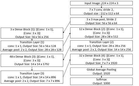 Densenet 201 Architecture Download Scientific Diagram