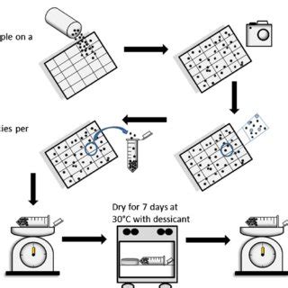 Workflow Of The Sample Processing Download Scientific Diagram