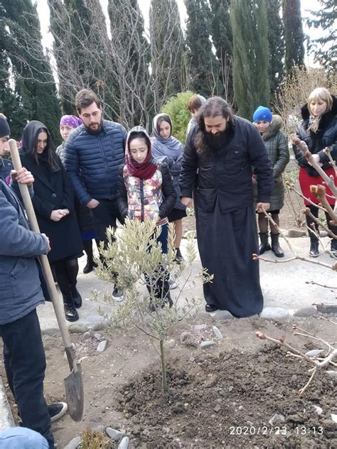 13 ასურელი მამის სახელობის ტაძრის ეზოში ანიტას სახელობის ზეთისხილის ხე დარგეს ფოტო კვირა