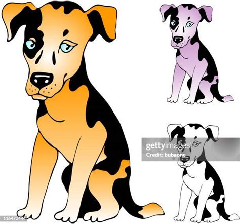 82 Mutt Drawing High Res Illustrations Getty Images
