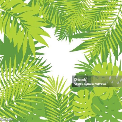여름 열 대 야자수 나뭇잎 배경 카드 포스터 벽지와 천연 제품에 대 한 벡터 그런 지 디자인 화이트에 자연 열 대 야자수 나무입니다 0명에 대한 스톡 벡터 아트 및 기타