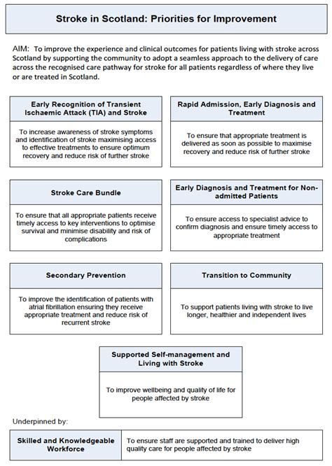 3 Stroke Care In Scotland Priorities For Improvement And The Stroke