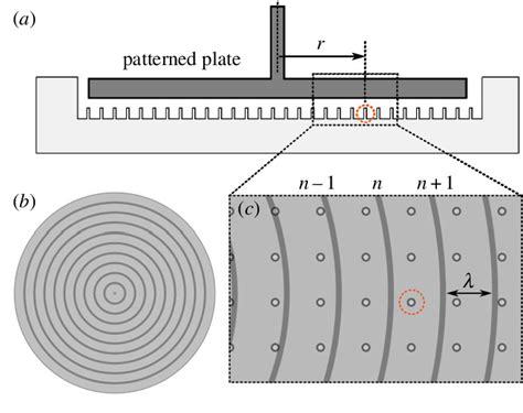 figure 1 from probing in mouth texture perception with a biomimetic
