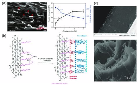 Graphene Polymer Nanocomposites With Graphene Sheets Dispersed In Download Scientific Diagram