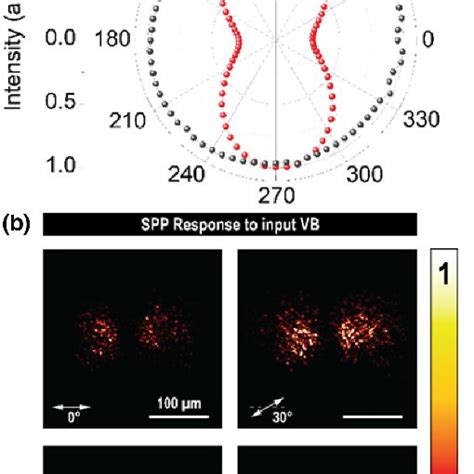 A Radar Plot Comparing The Input Radially Polarized Gaussian Vector Download Scientific